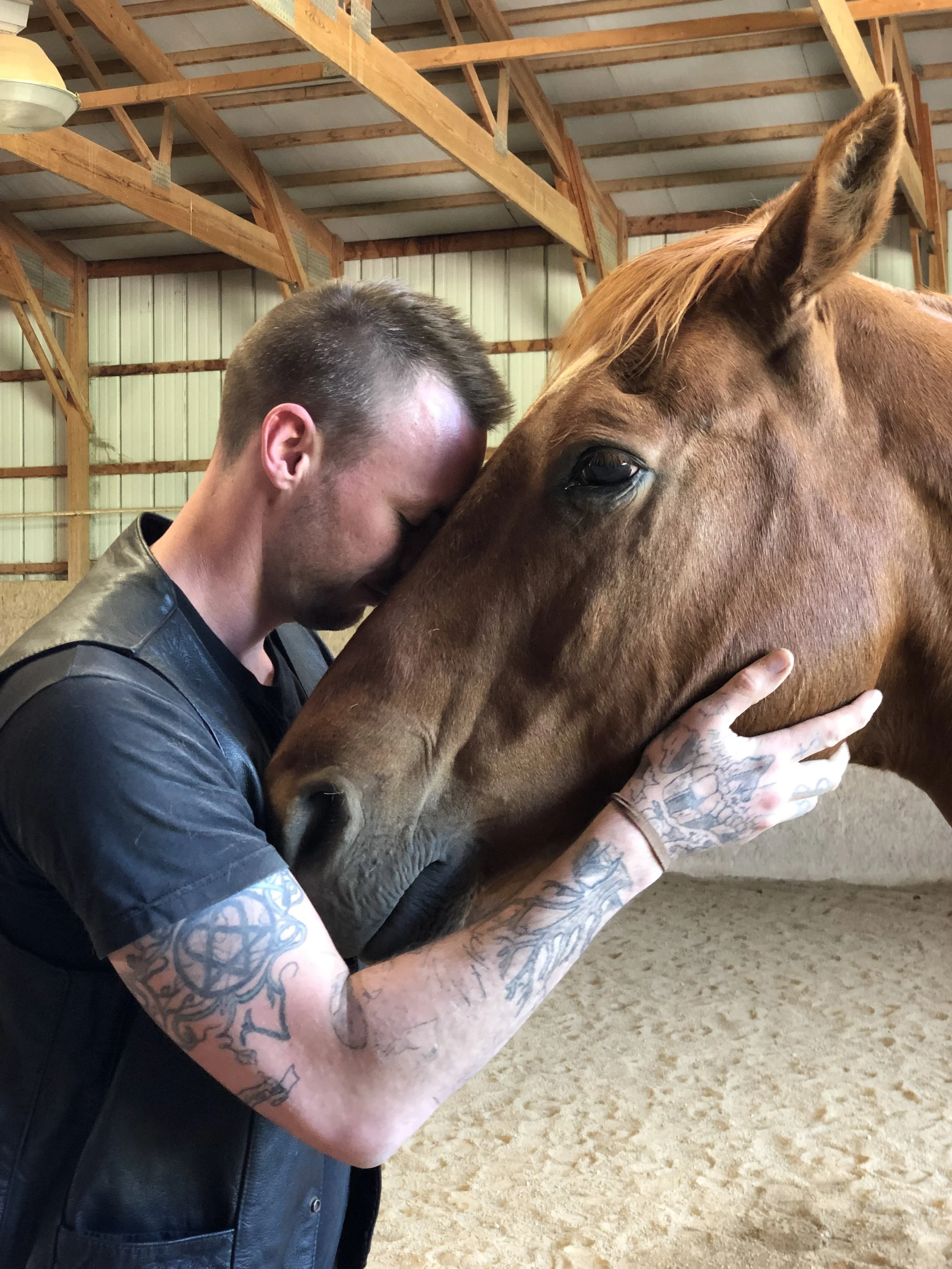 Equine Assisted Service Programs — CHAPS Equine Assisted Services