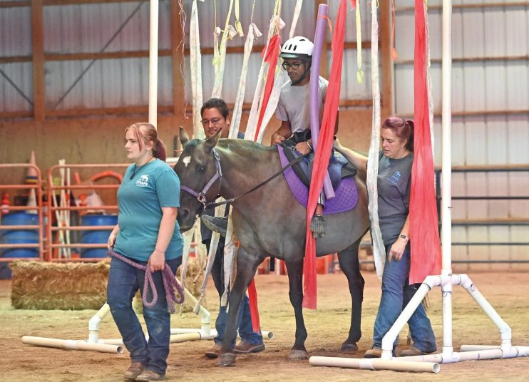 Equine Assisted Service Programs — CHAPS Equine Assisted Services