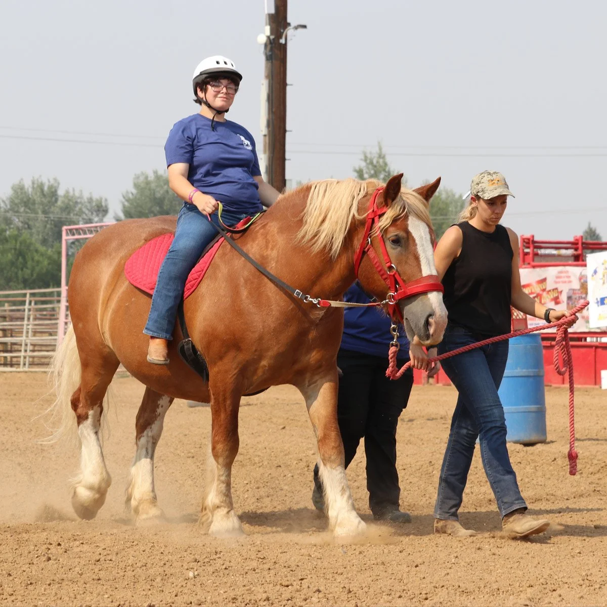 Equine Assisted Service Programs — CHAPS Equine Assisted Services