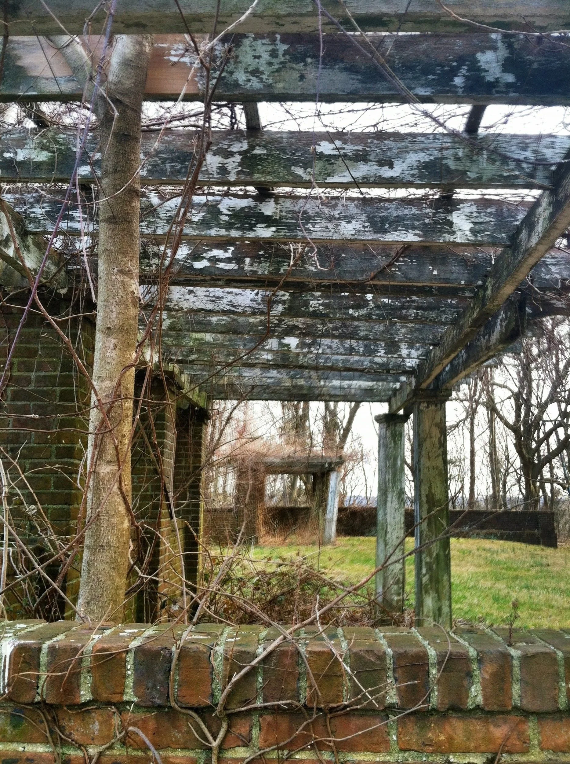 Druid Ruins And Amphitheater on Long Island - Remnants of Rosemary’s ...