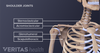 The Shoulder: Fore Joints or One? — Shore Golf Performance & Physical ...