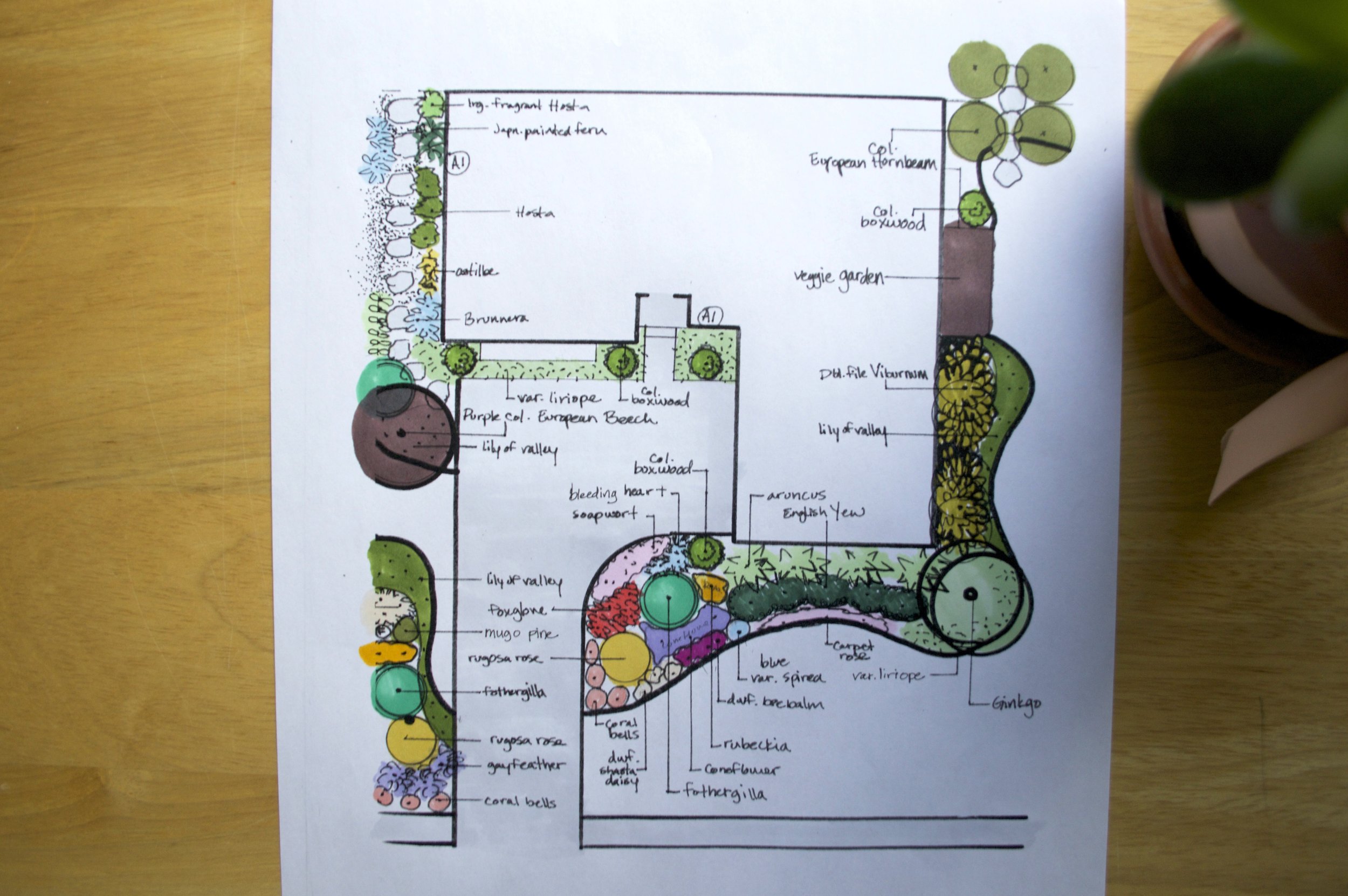 Landscape Design — Kate Wilson Design