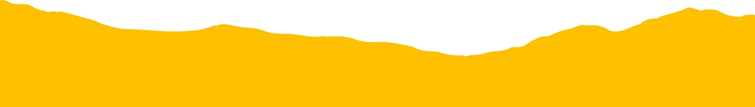 Fostering Youth Transitions 2023 — Journey to Success