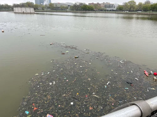 Guardians of Flushing Bay