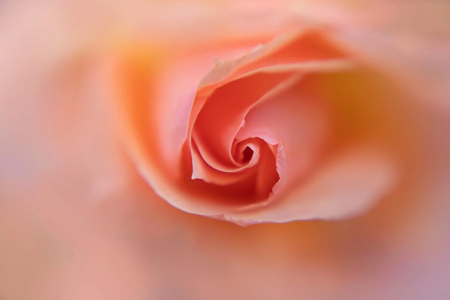 Testimonials — Kathleen Clemons Education