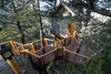 Lookout — Treecraft Design-Build Custom Treehouses