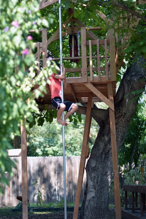 Walnut — Treecraft Design-Build Custom Treehouses