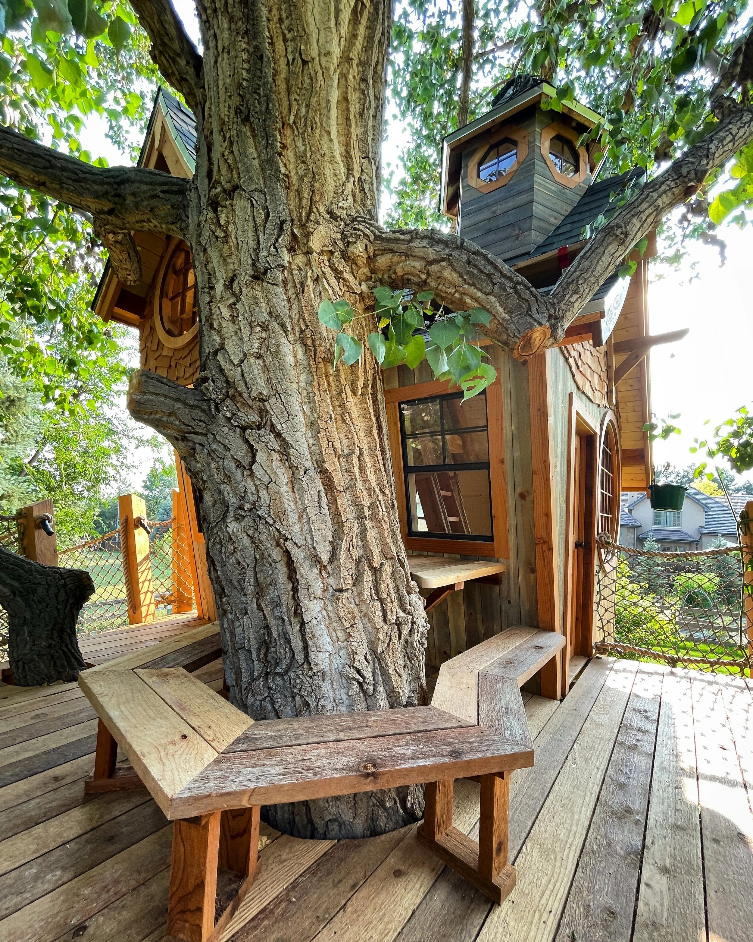 ABOUT — Treecraft Design-Build Custom Treehouses