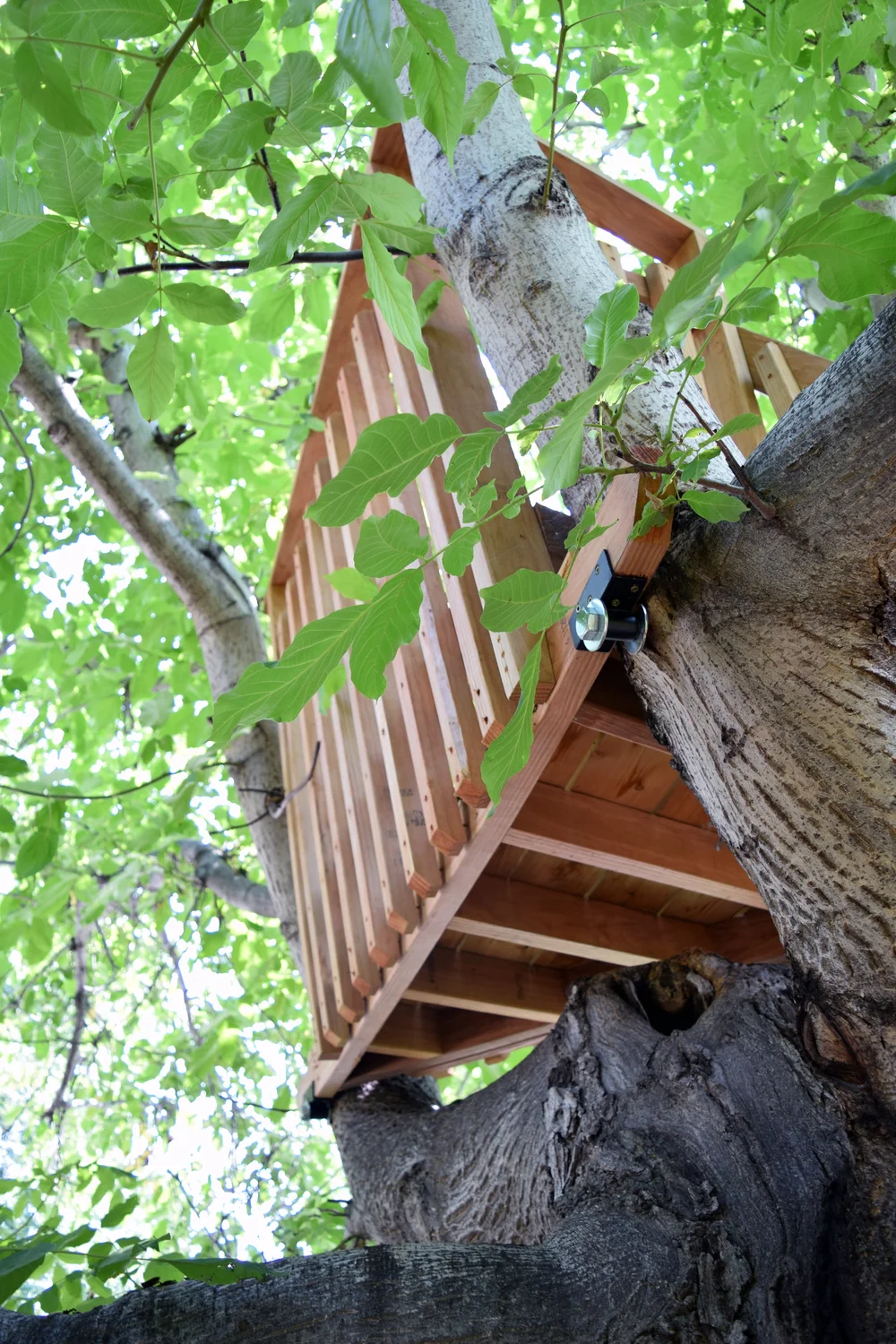Walnut — Treecraft Design-Build Custom Treehouses