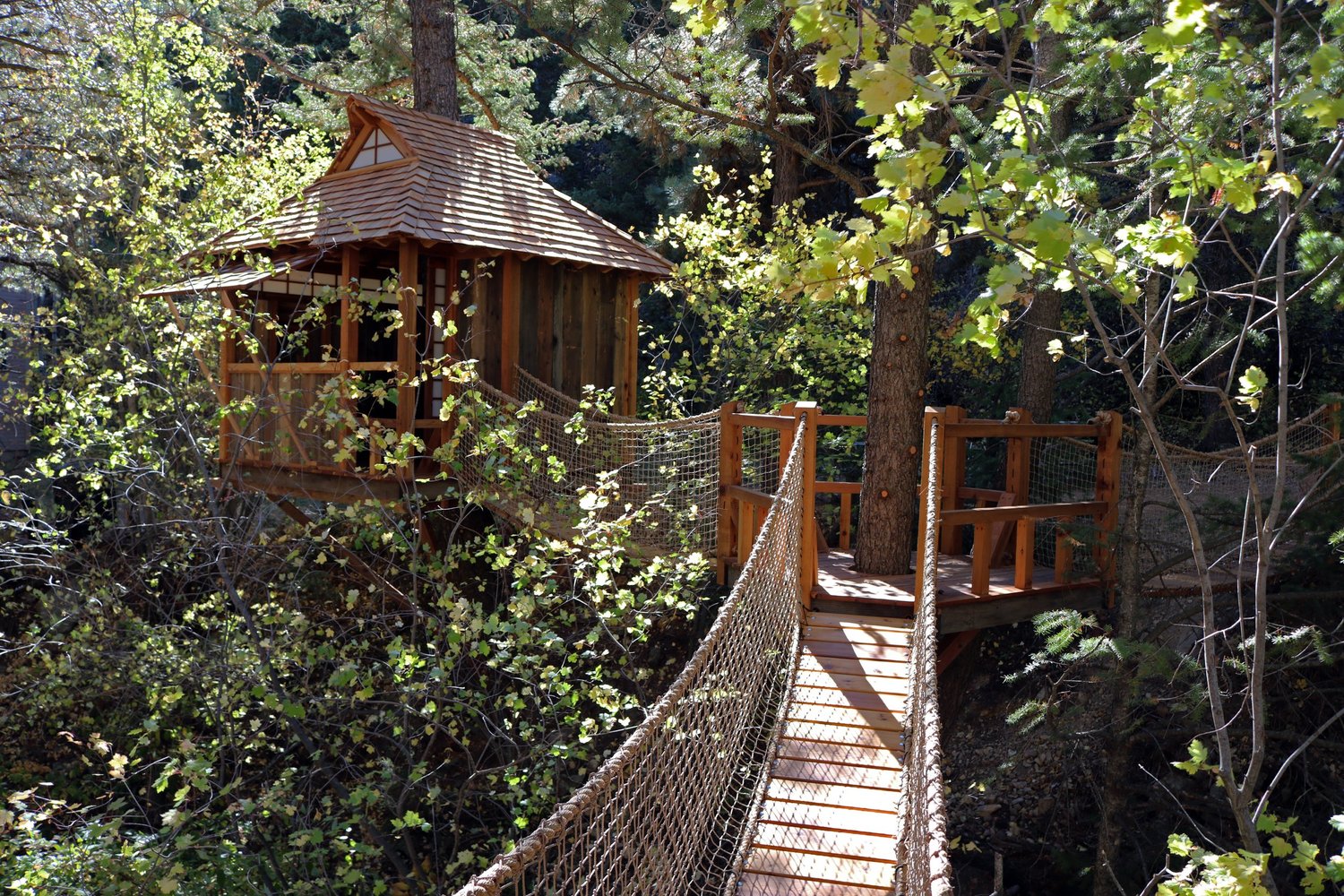 Fourmile — Treecraft Design-Build Custom Treehouses