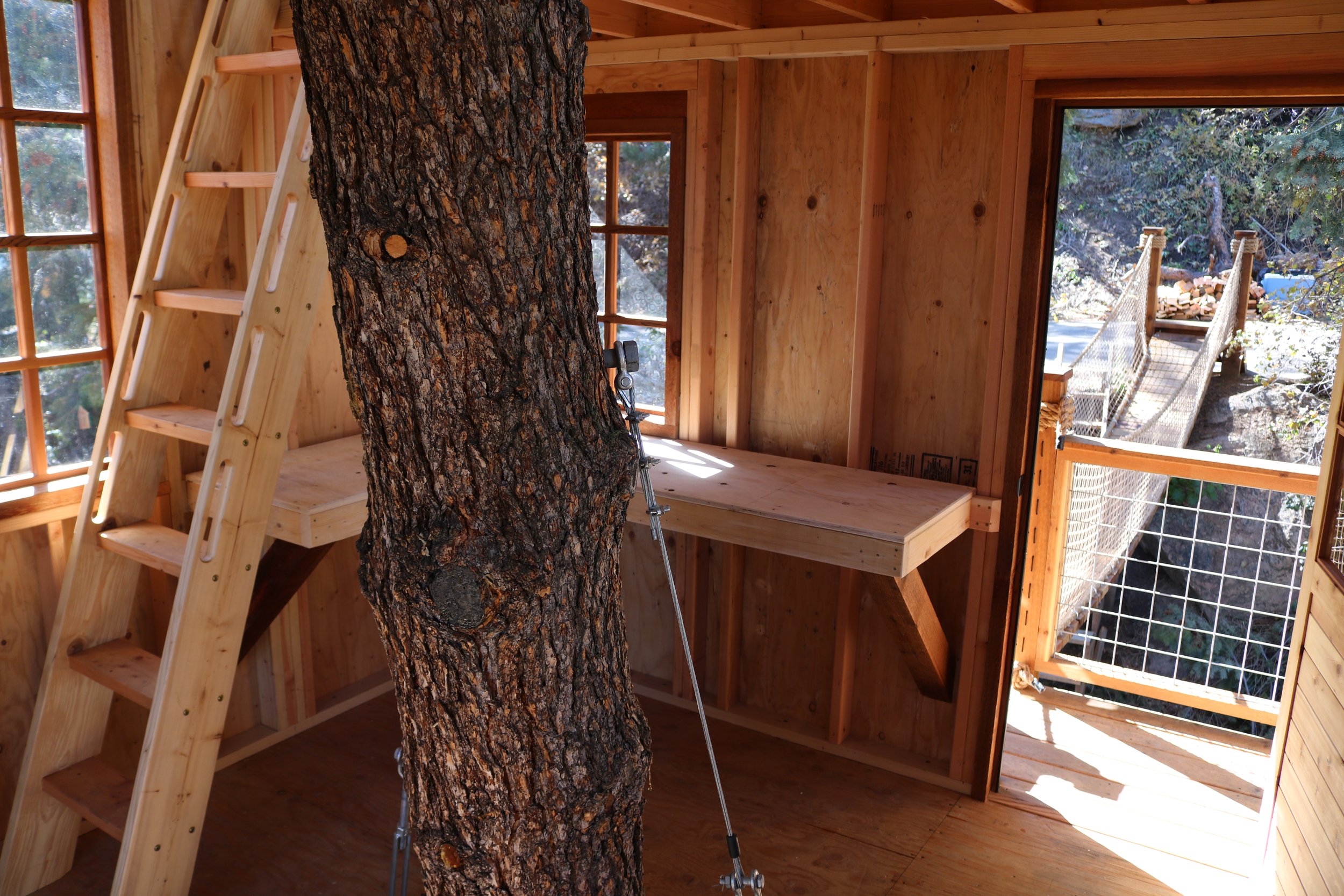 Conifer — Treecraft Design-Build Custom Treehouses