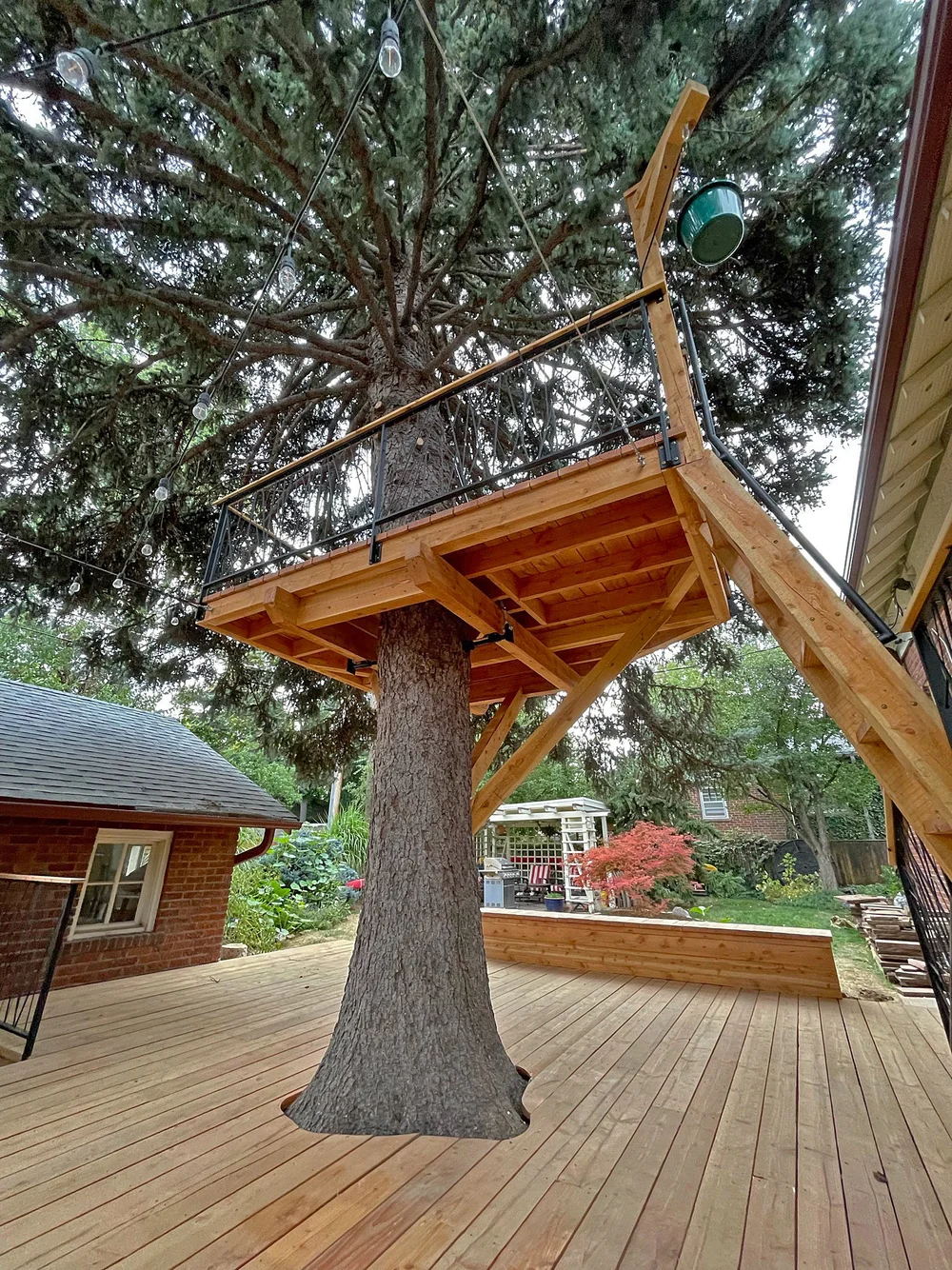 Blue Spruce — Treecraft Design-Build Custom Treehouses