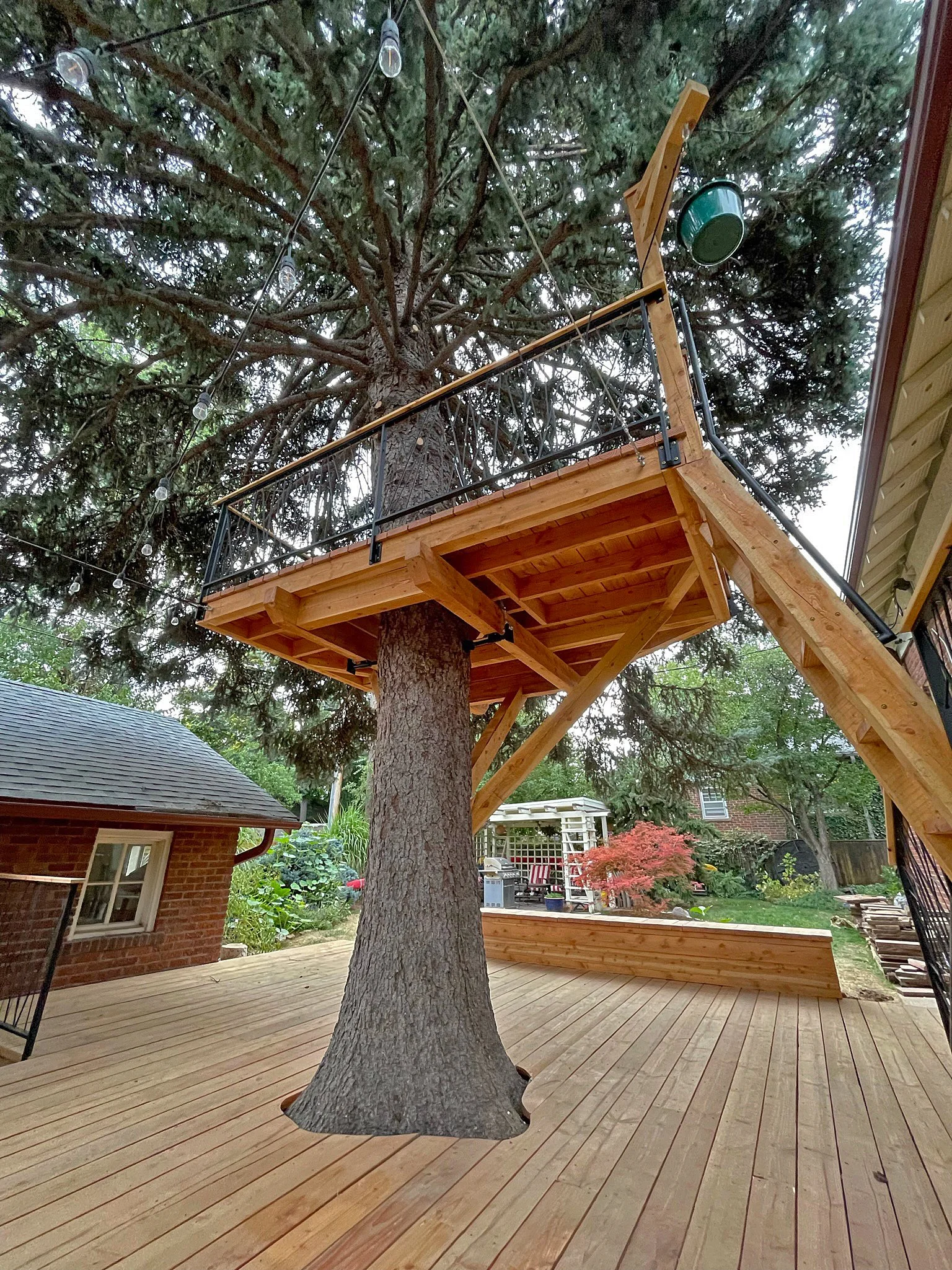 Blue Spruce — Treecraft Design-Build Custom Treehouses