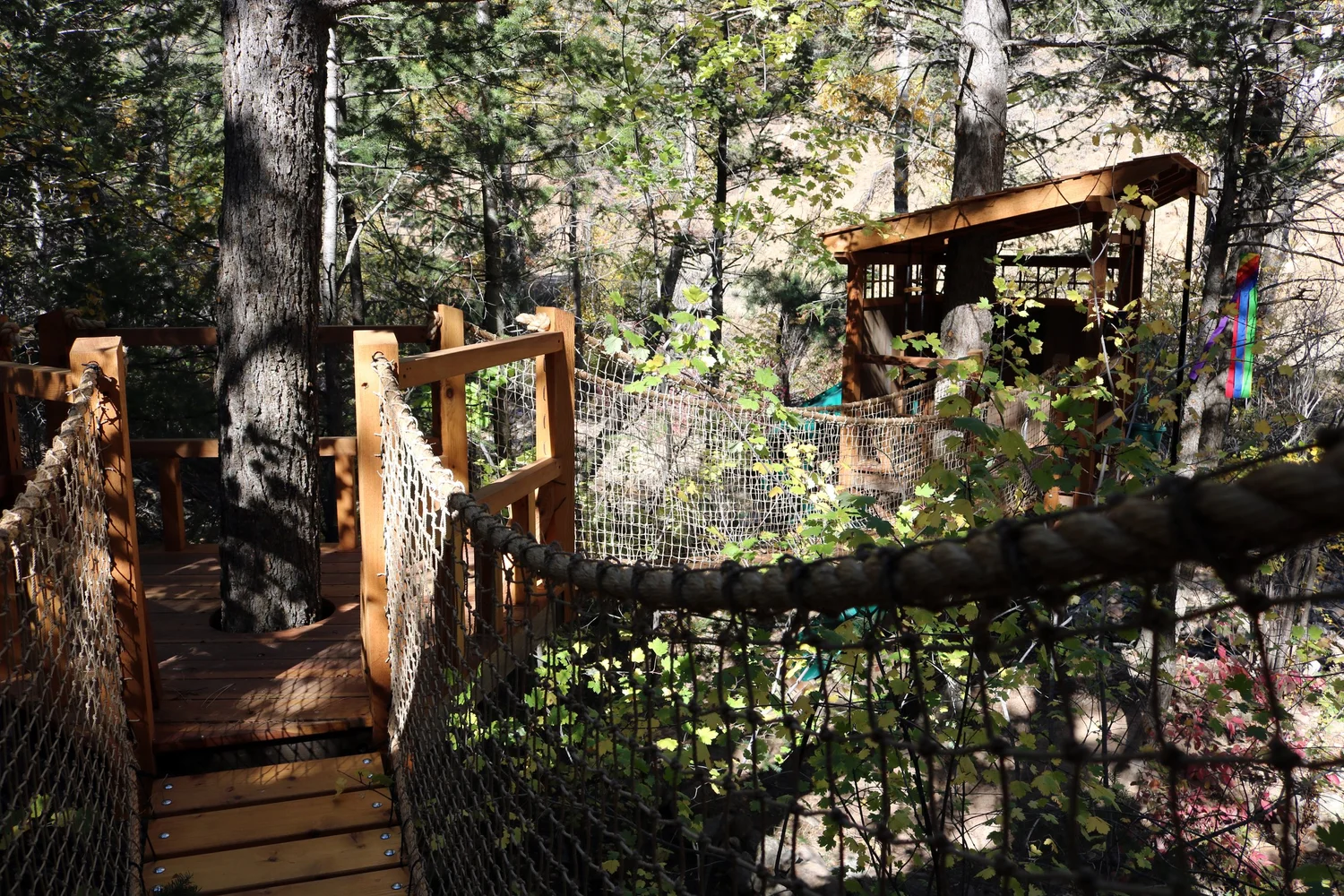 Fourmile — Treecraft Design-Build Custom Treehouses