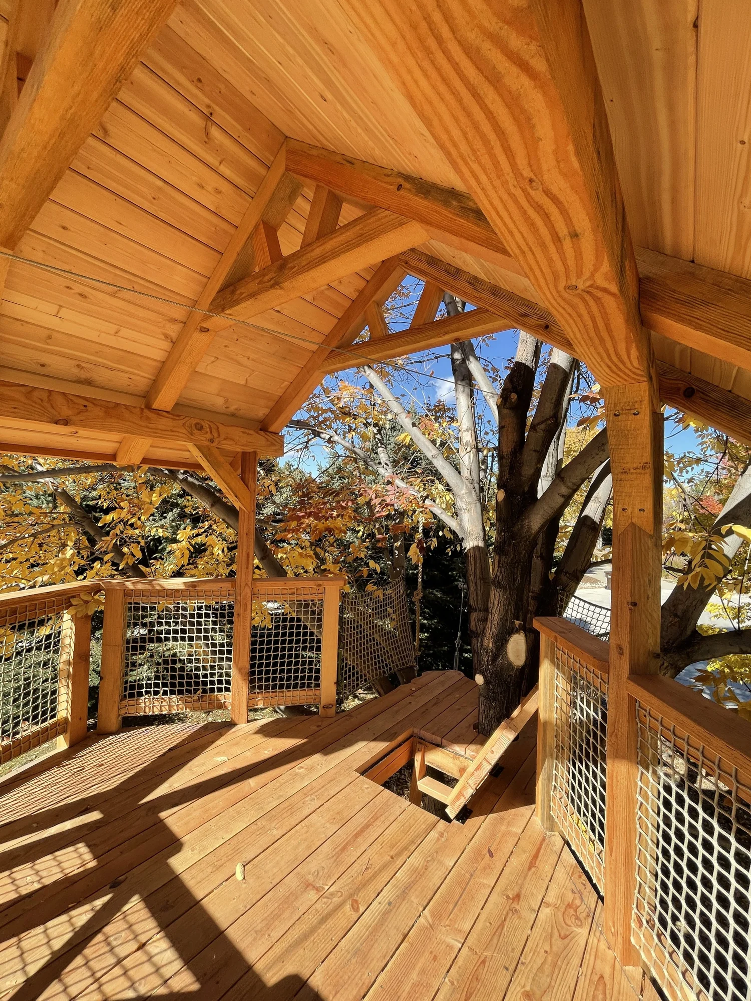 Ash — Treecraft Design-Build Custom Treehouses