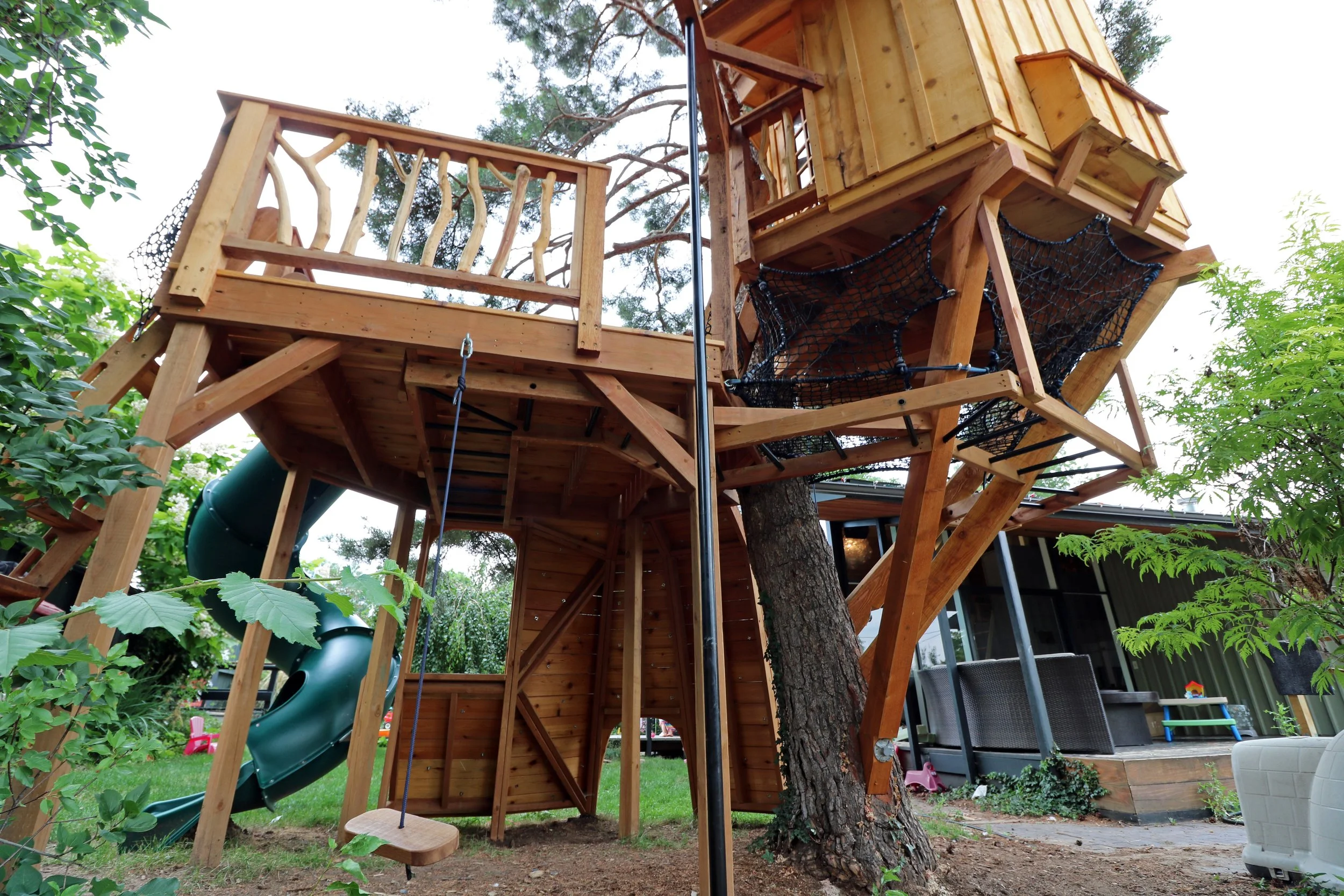 Scots Pine — Treecraft Design-Build Custom Treehouses