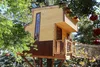 Conifer — Treecraft Design-Build Custom Treehouses