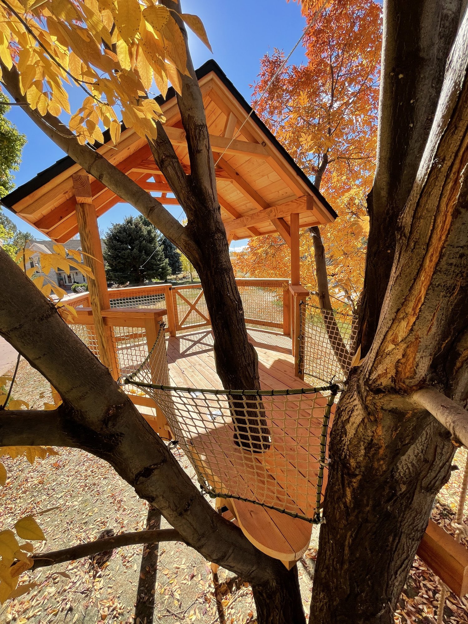 Ash — Treecraft Design-Build Custom Treehouses