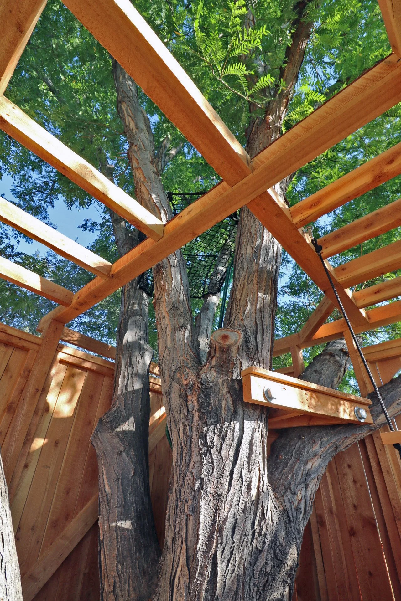Honey Locust — Treecraft Design-Build Custom Treehouses