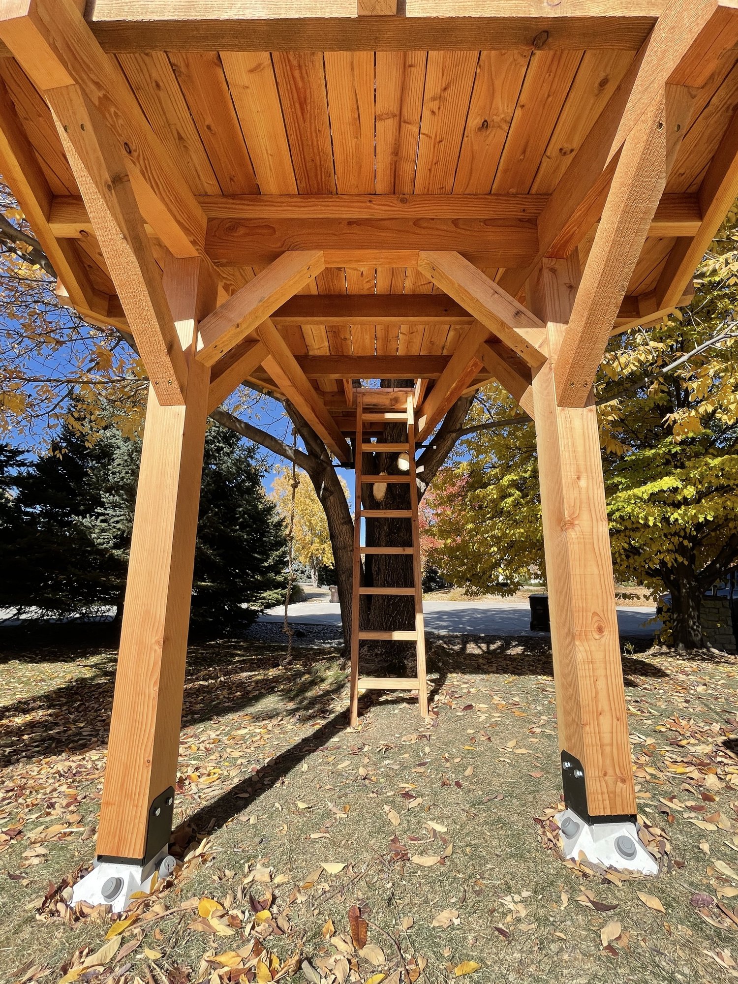 Ash — Treecraft Design-Build Custom Treehouses