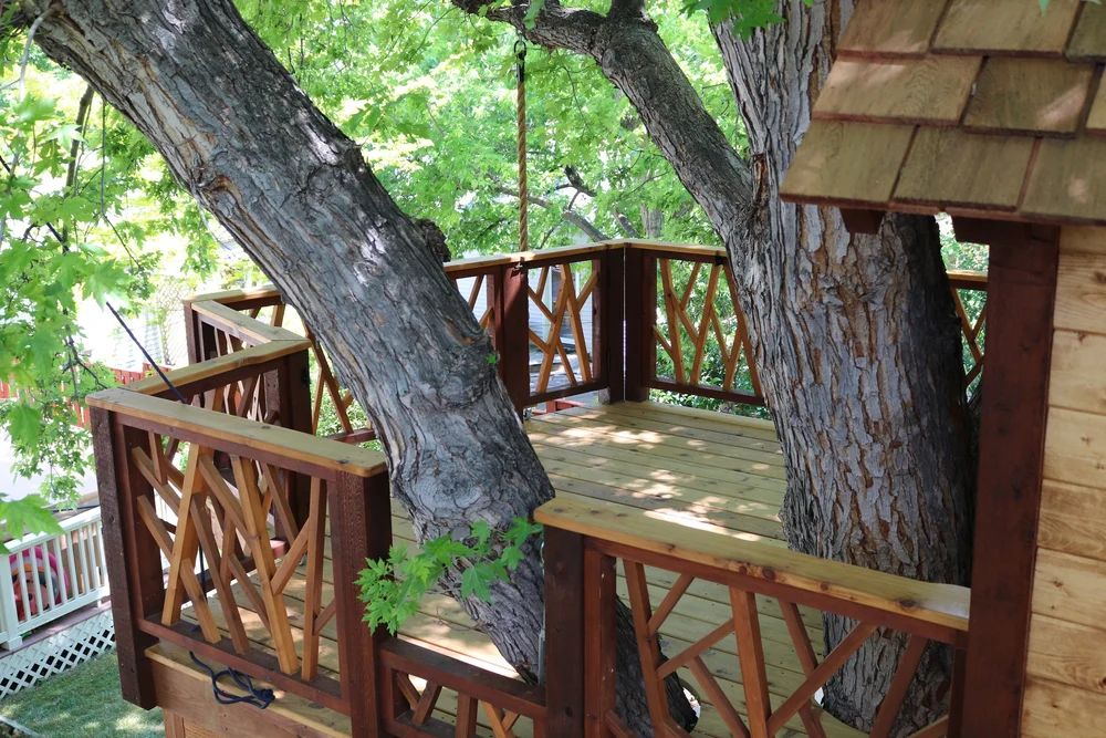 Silver Maple — Treecraft Design-Build Custom Treehouses