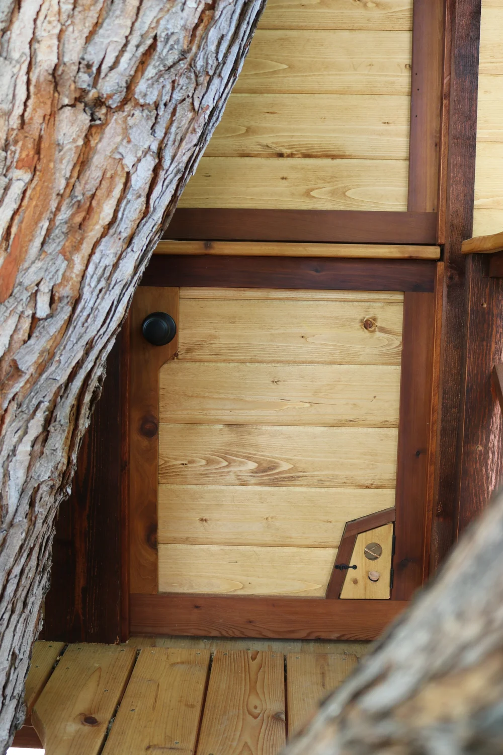 Silver Maple — Treecraft Design-Build Custom Treehouses