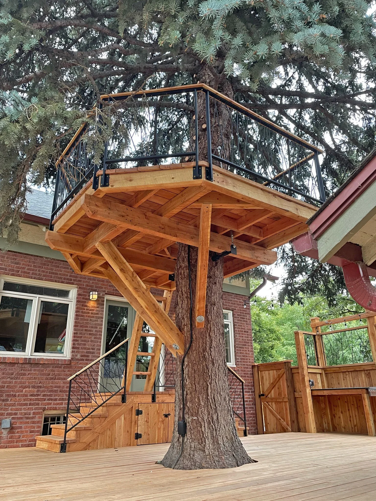 Blue Spruce — Treecraft Design-Build Custom Treehouses