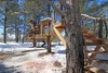 Pagosa Springs — Treecraft Design-Build Custom Treehouses