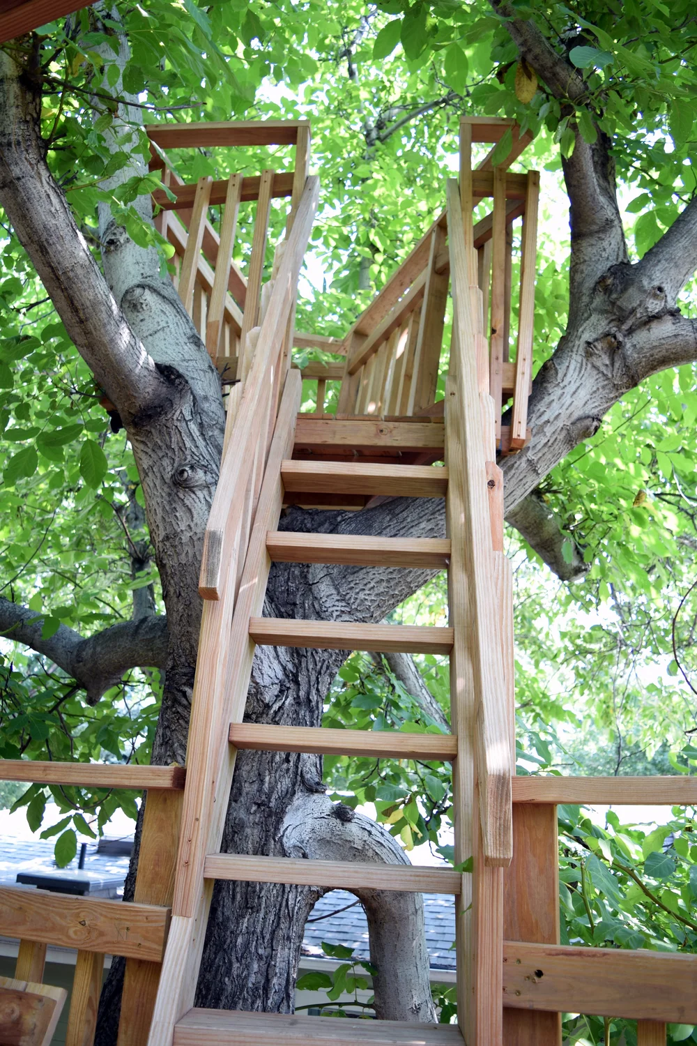 Walnut — Treecraft Design-Build Custom Treehouses