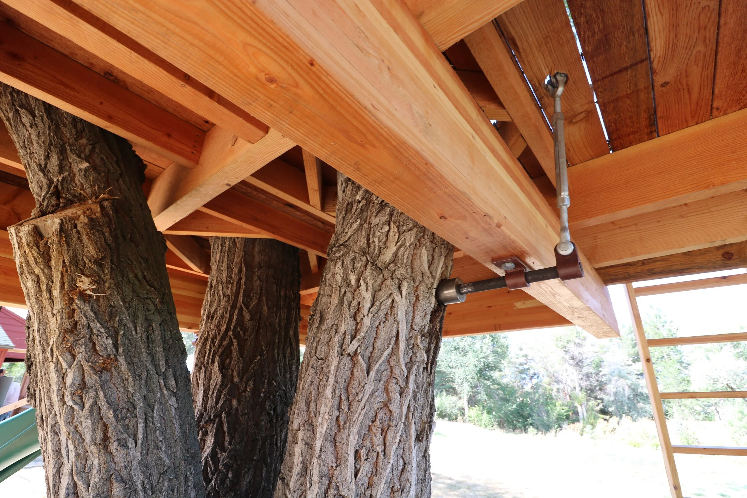 Elm — Treecraft Design-Build Custom Treehouses