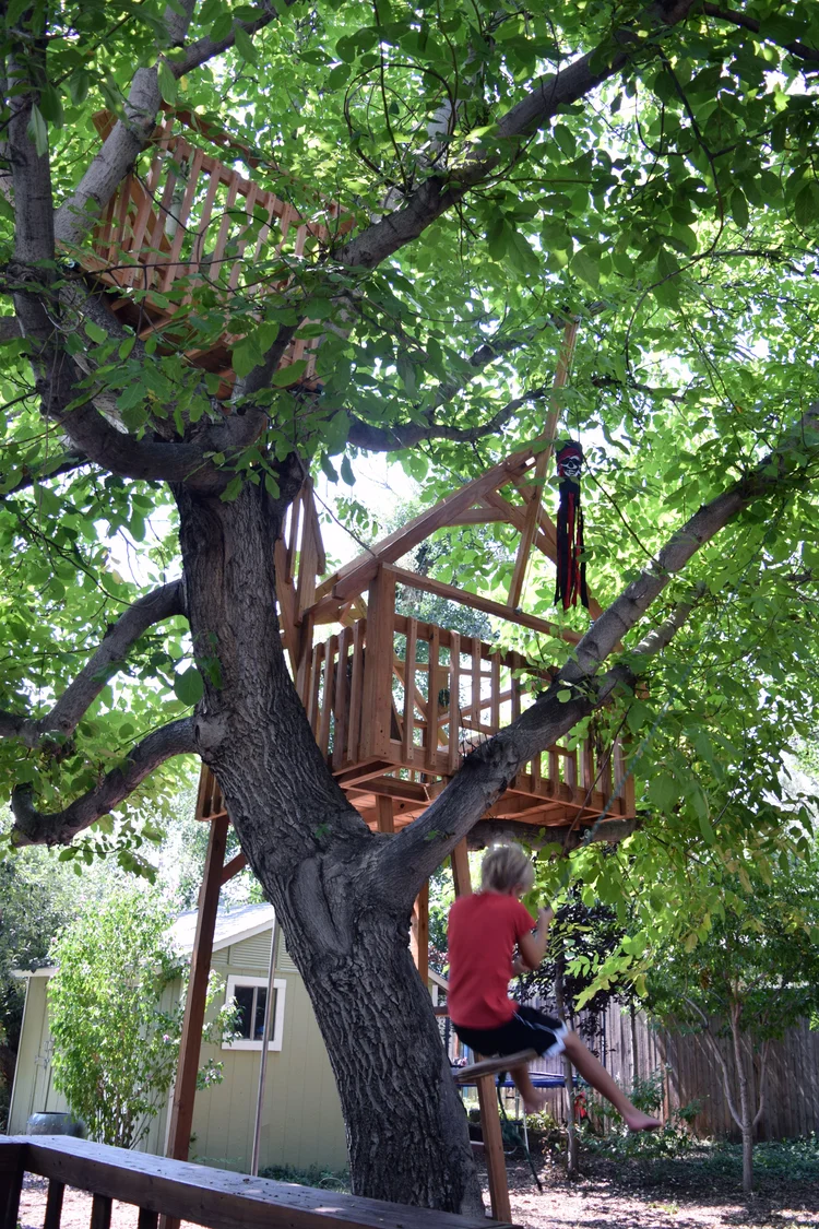 Walnut — Treecraft Design-Build Custom Treehouses