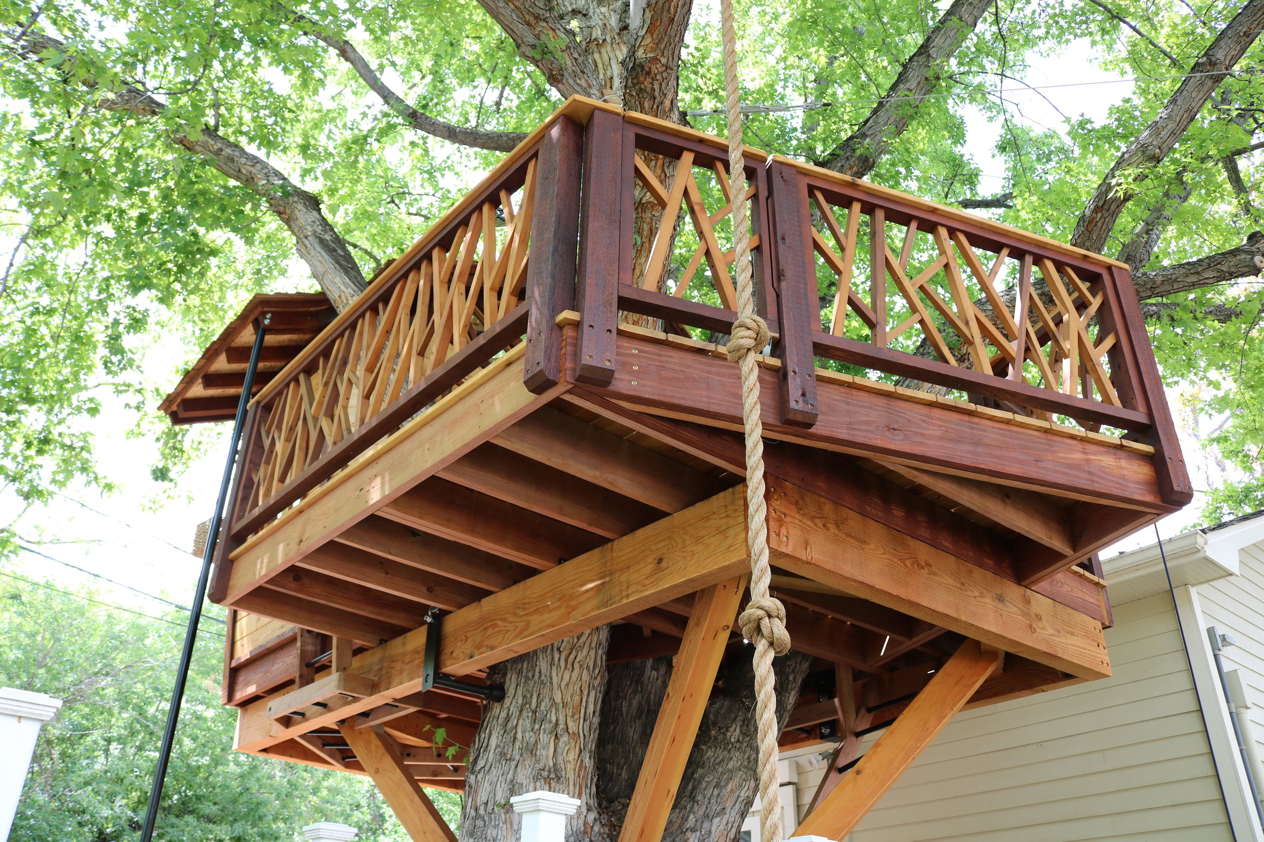 Silver Maple — Treecraft Design-Build Custom Treehouses