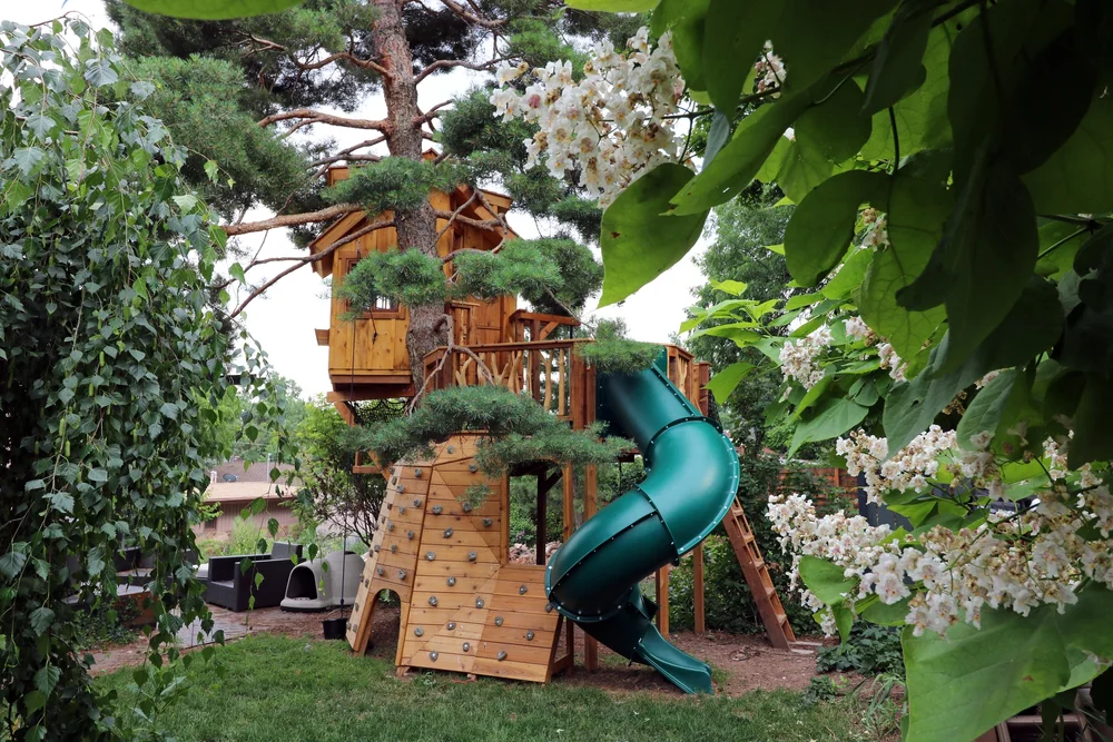 Scots Pine — Treecraft Design-Build Custom Treehouses