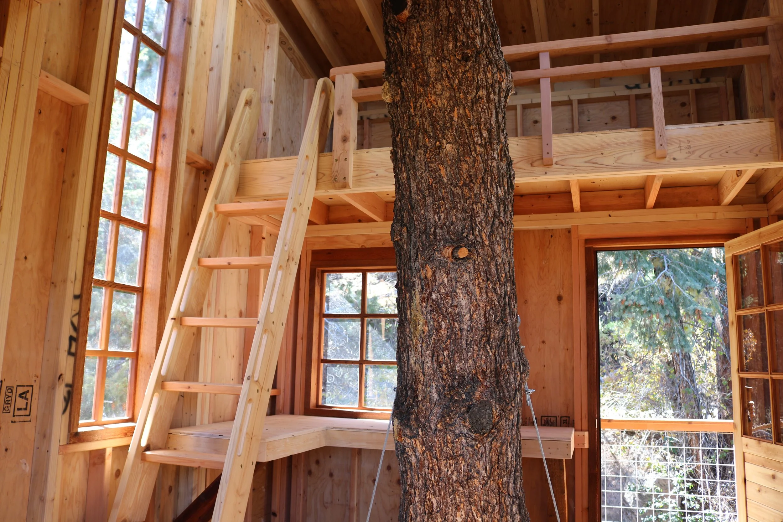 Conifer — Treecraft Design-Build Custom Treehouses