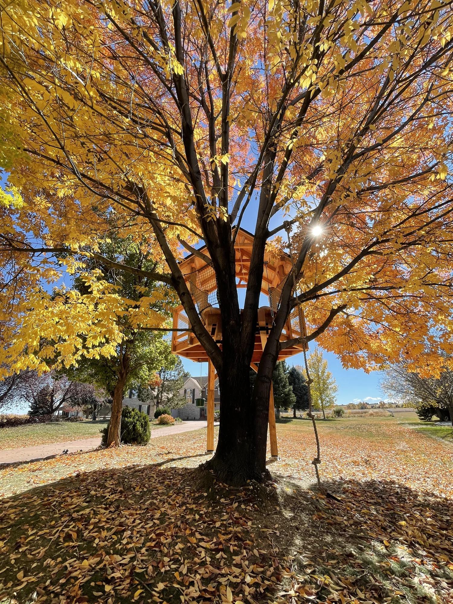 Ash — Treecraft Design-Build Custom Treehouses