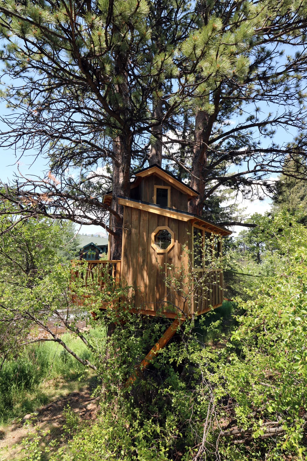 Riverside — Treecraft Design-Build Custom Treehouses