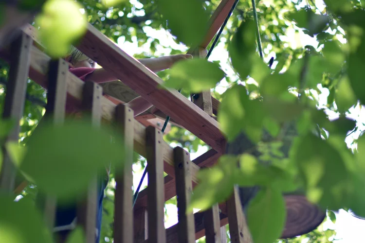 Walnut — Treecraft Design-Build Custom Treehouses