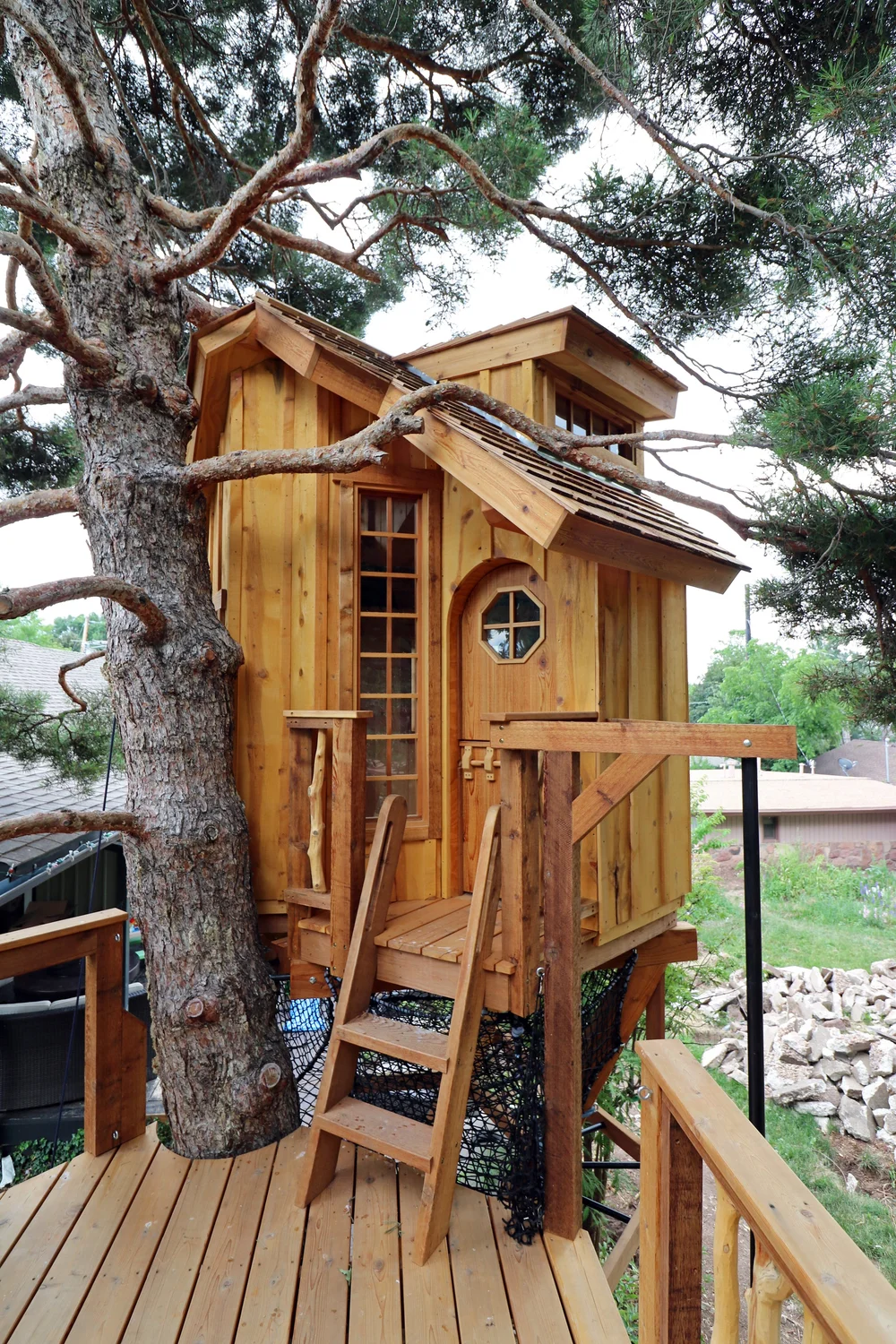 Scots Pine — Treecraft Design-Build Custom Treehouses