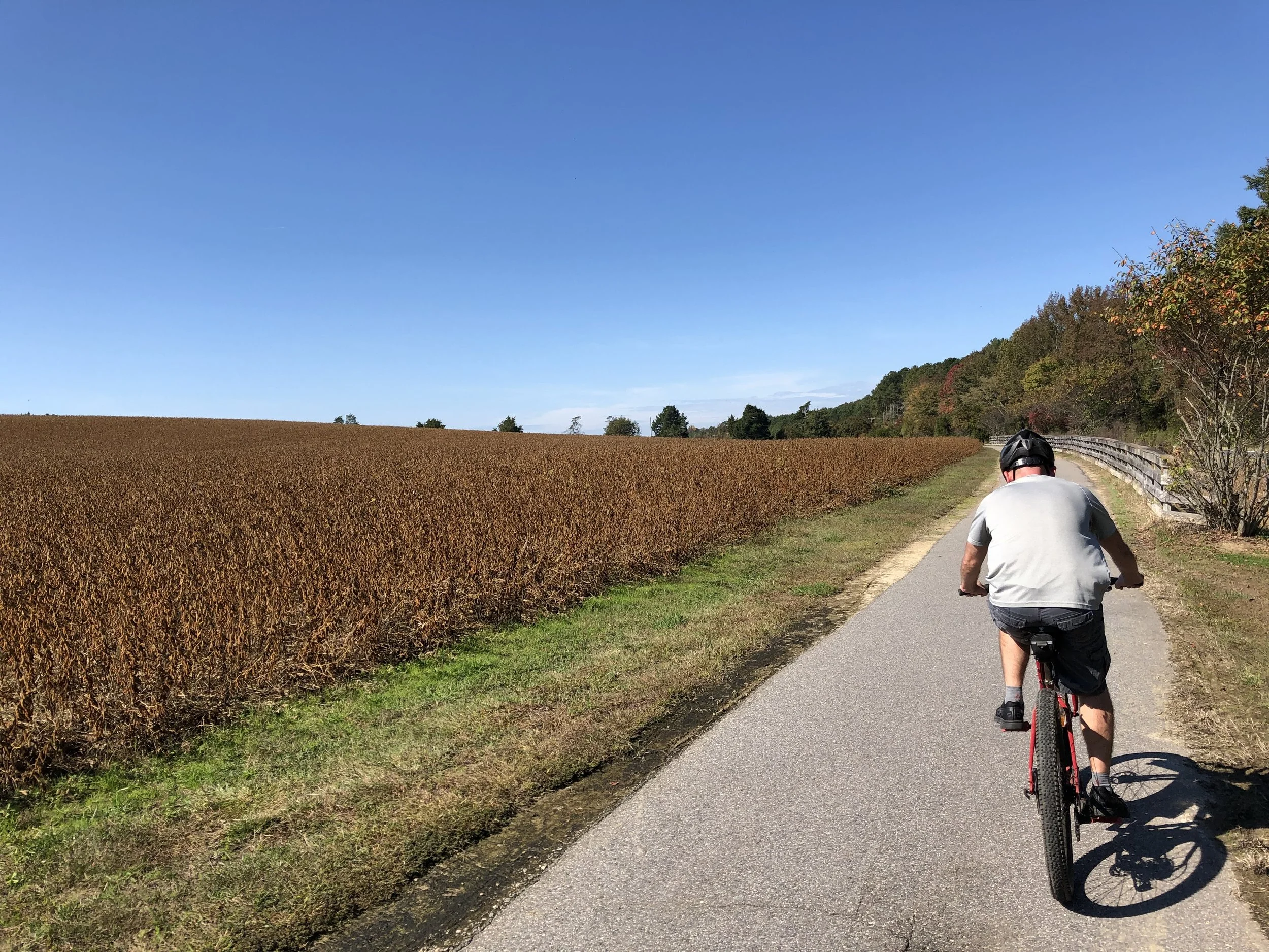 Riverside Cycling