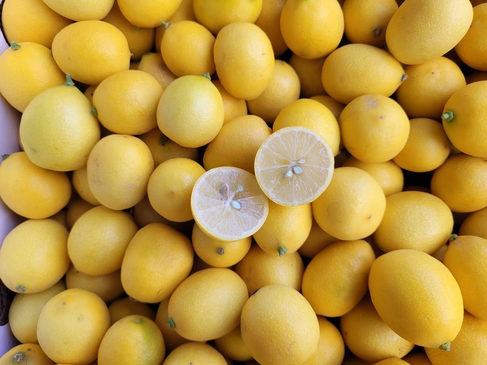 LIMEQUATS — Earl's Organic Produce