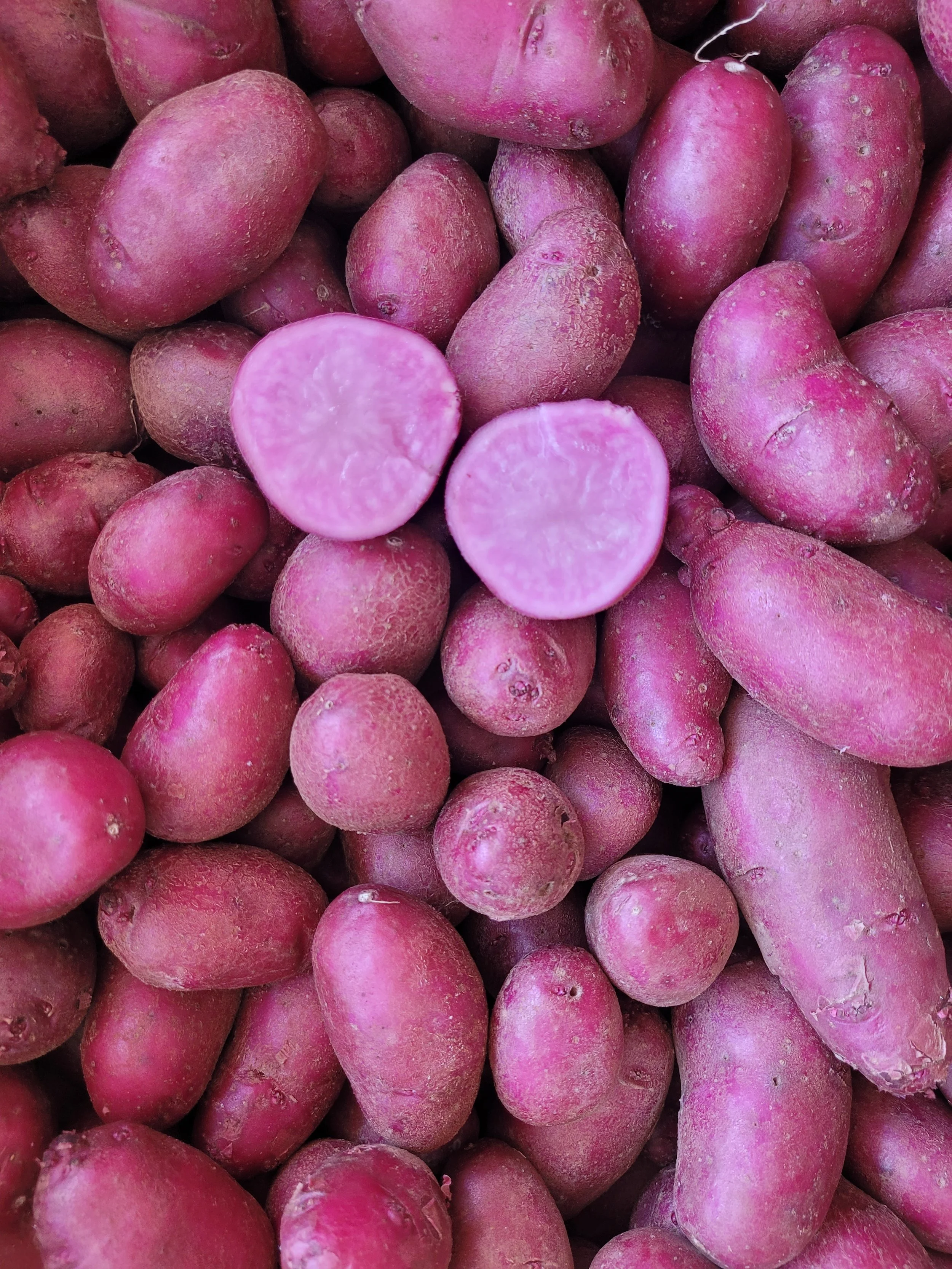 FRESHLY DUG FINGERLING NEW POTATOES — Earl's Organic Produce
