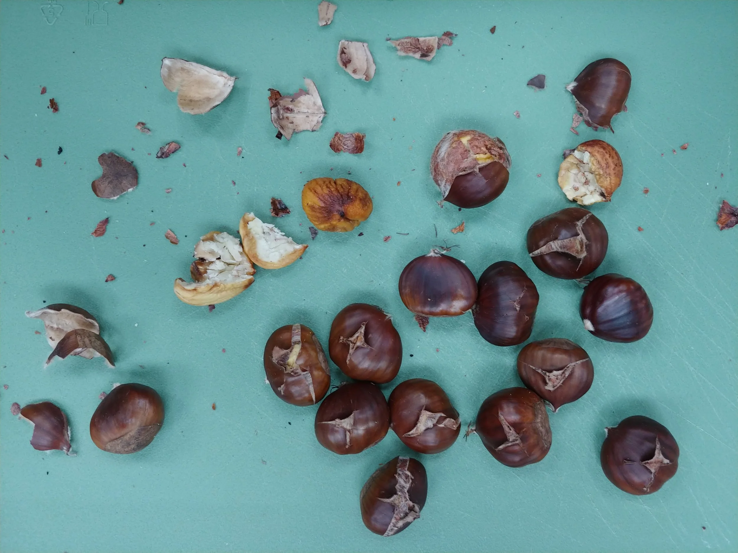 ROASTING CHESTNUTS — Earl's Organic Produce