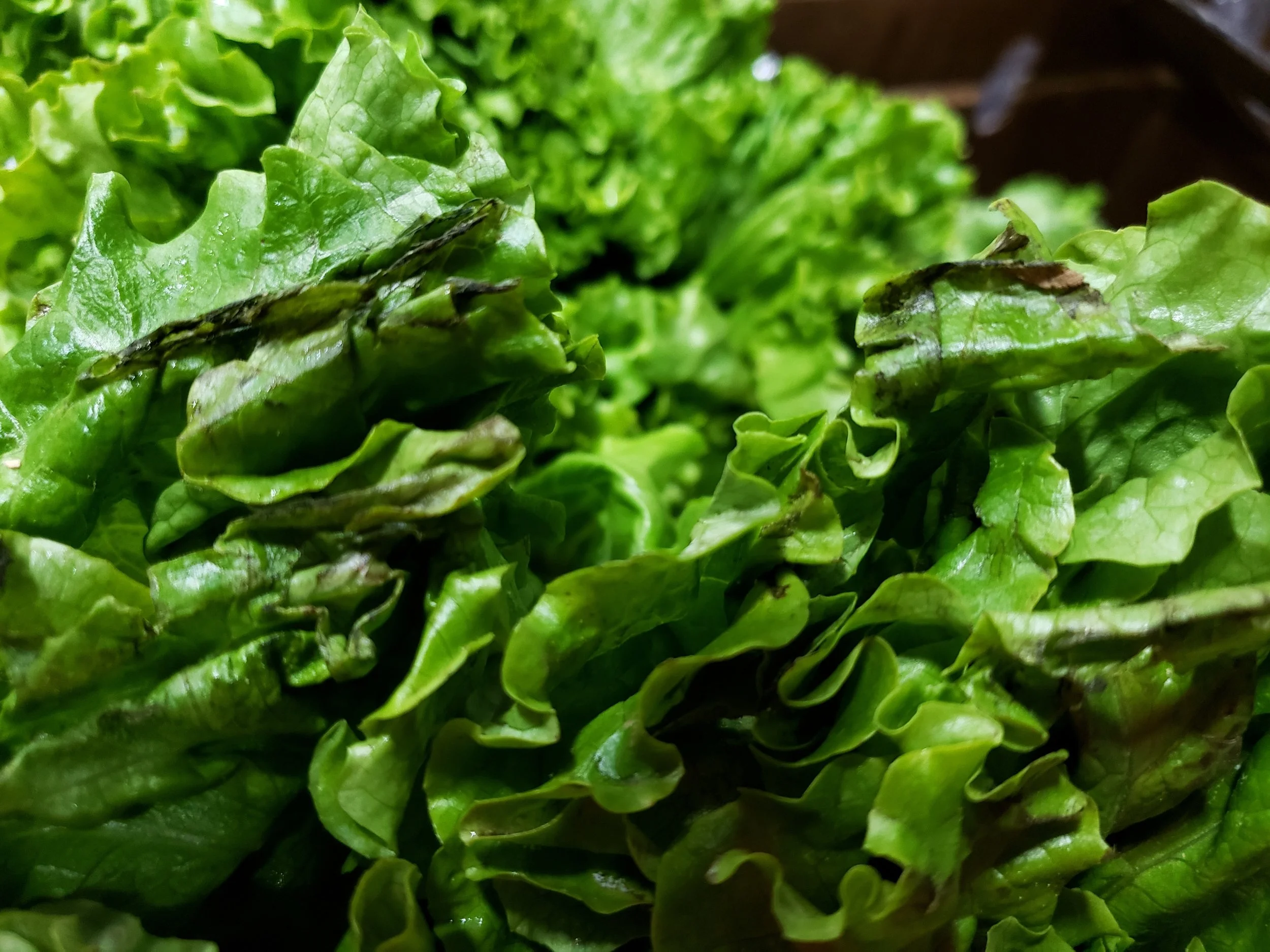 FREEZING COLD WEATHER CHALLENGES — Earl's Organic Produce