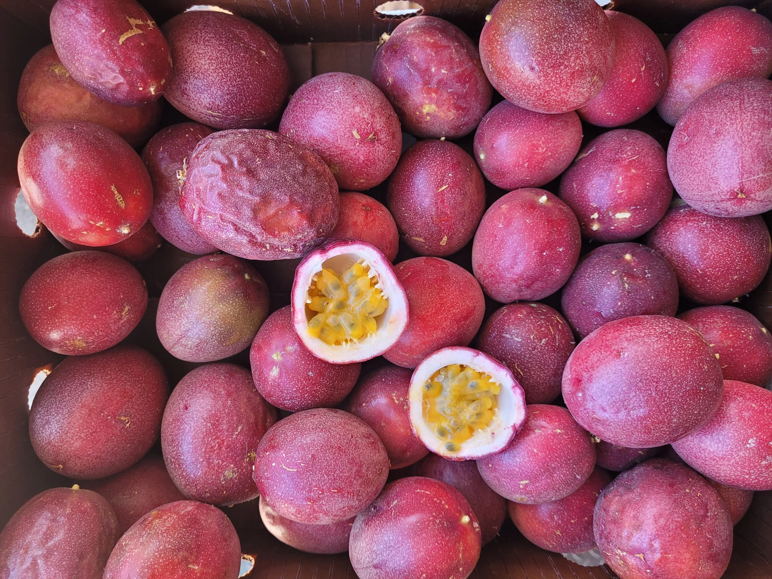 PASSION FRUIT — Earl's Organic Produce