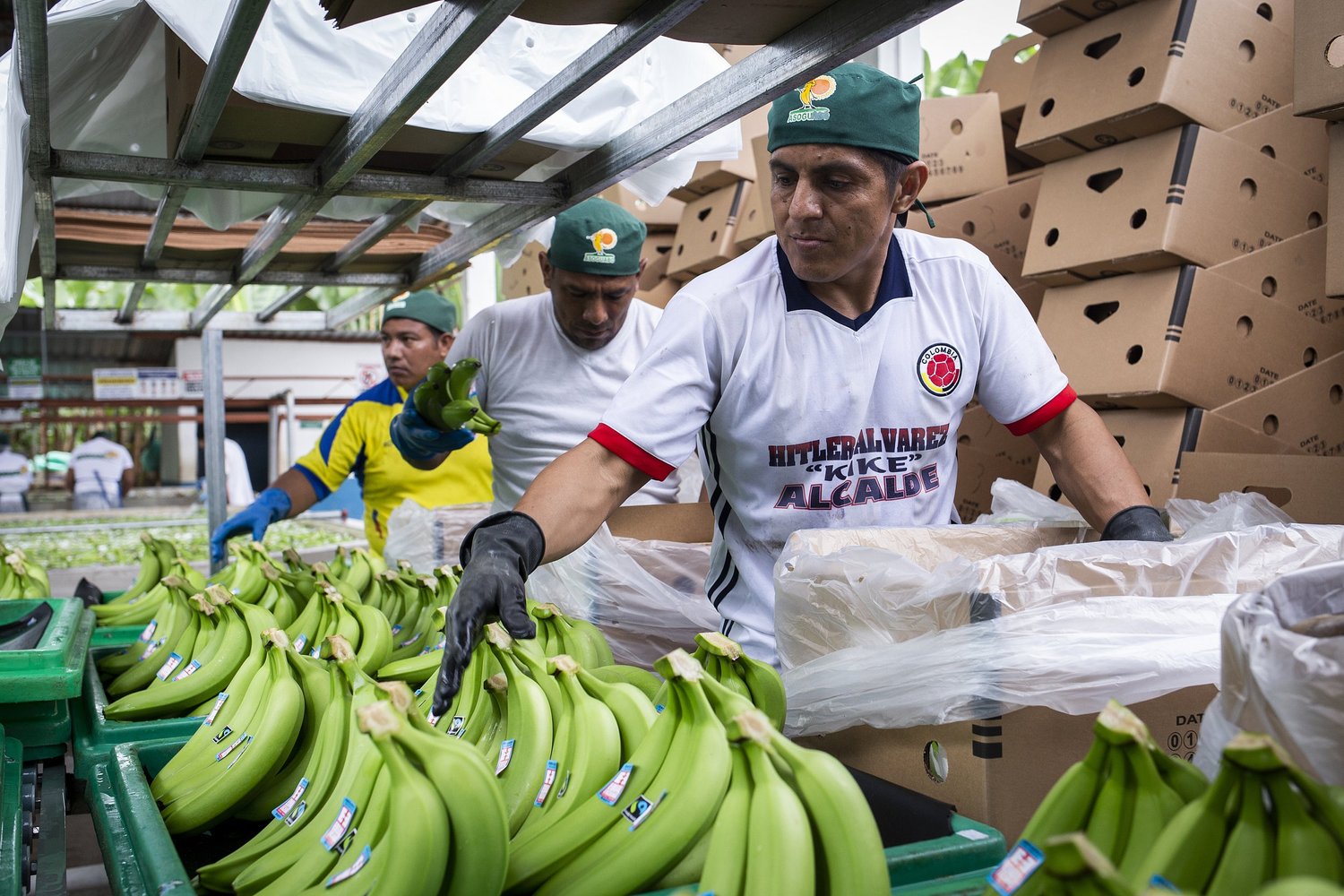 MARCH IS EQUAL EXCHANGE FAIR TRADE BANANA MONTH — Earl's Organic Produce