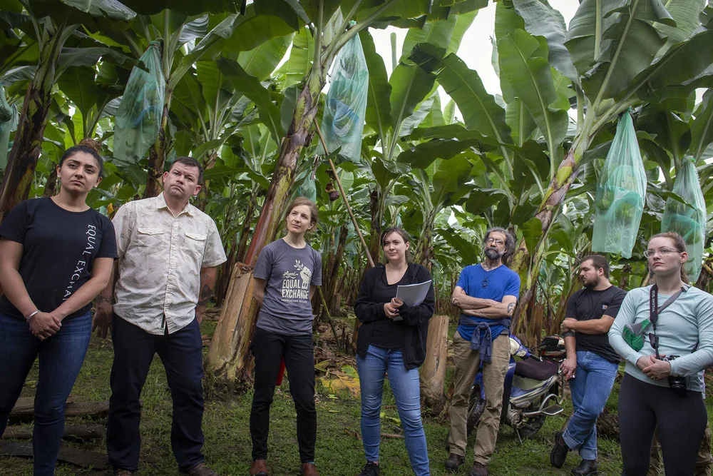 EQUAL EXCHANGE FAIR TRADE BANANAS — Earl's Organic Produce