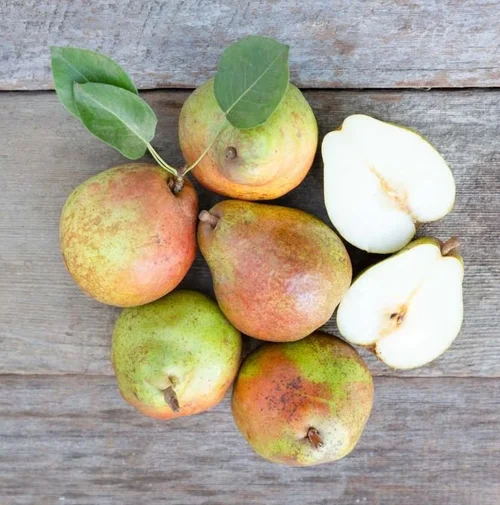 TAYLOR’S GOLD PEARS — Earl's Organic Produce