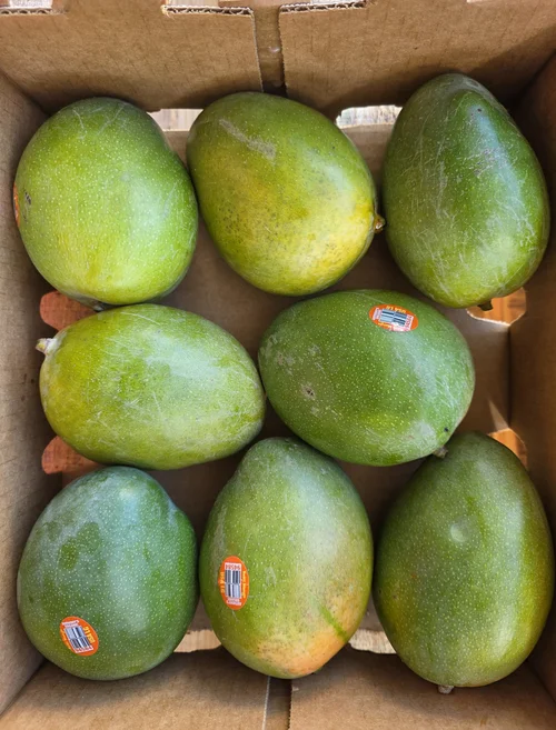 CALIFORNIA KEITT MANGOS — Earl's Organic Produce
