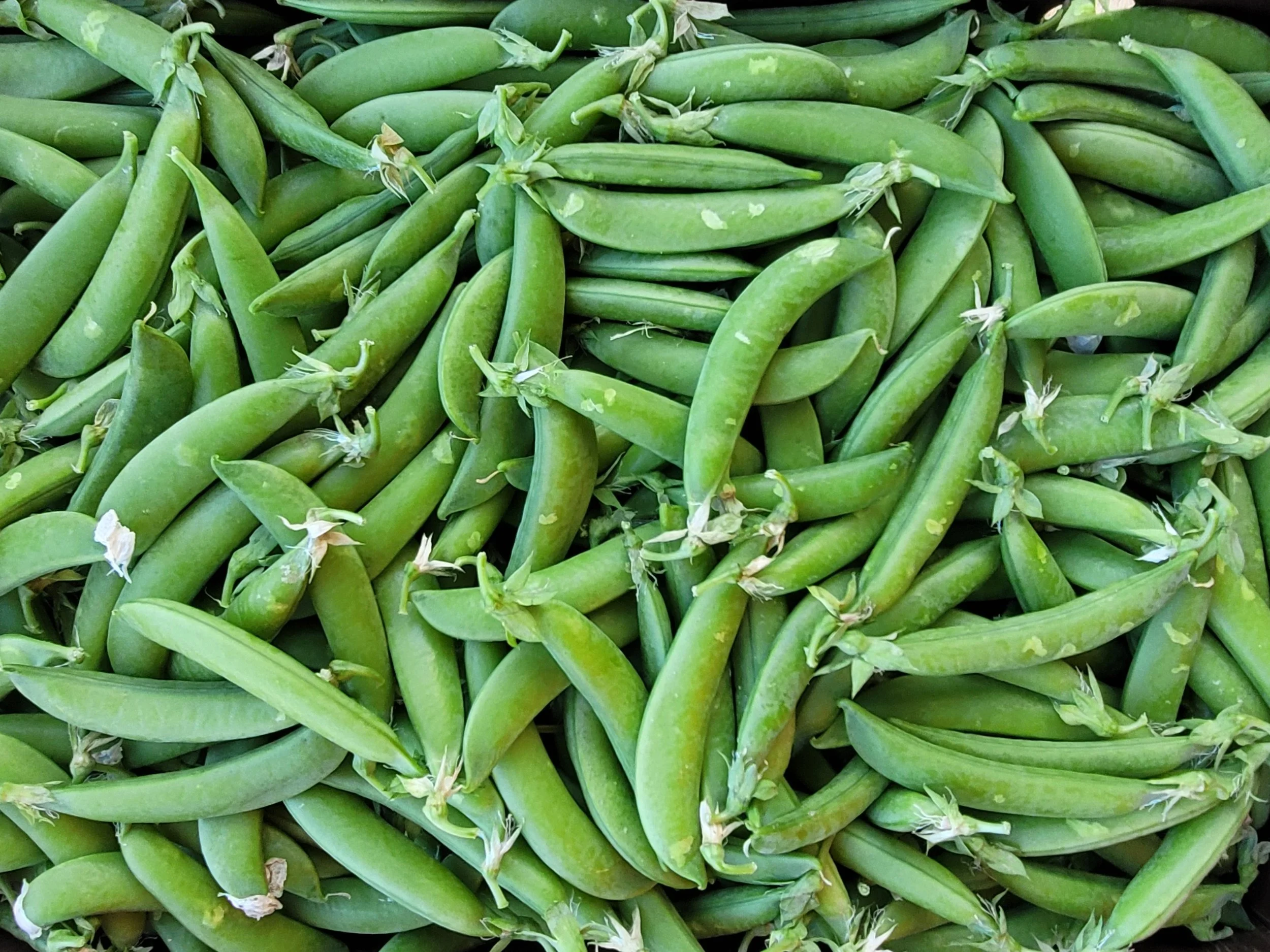 Weekly Specials 05.09.23 — Earl's Organic Produce