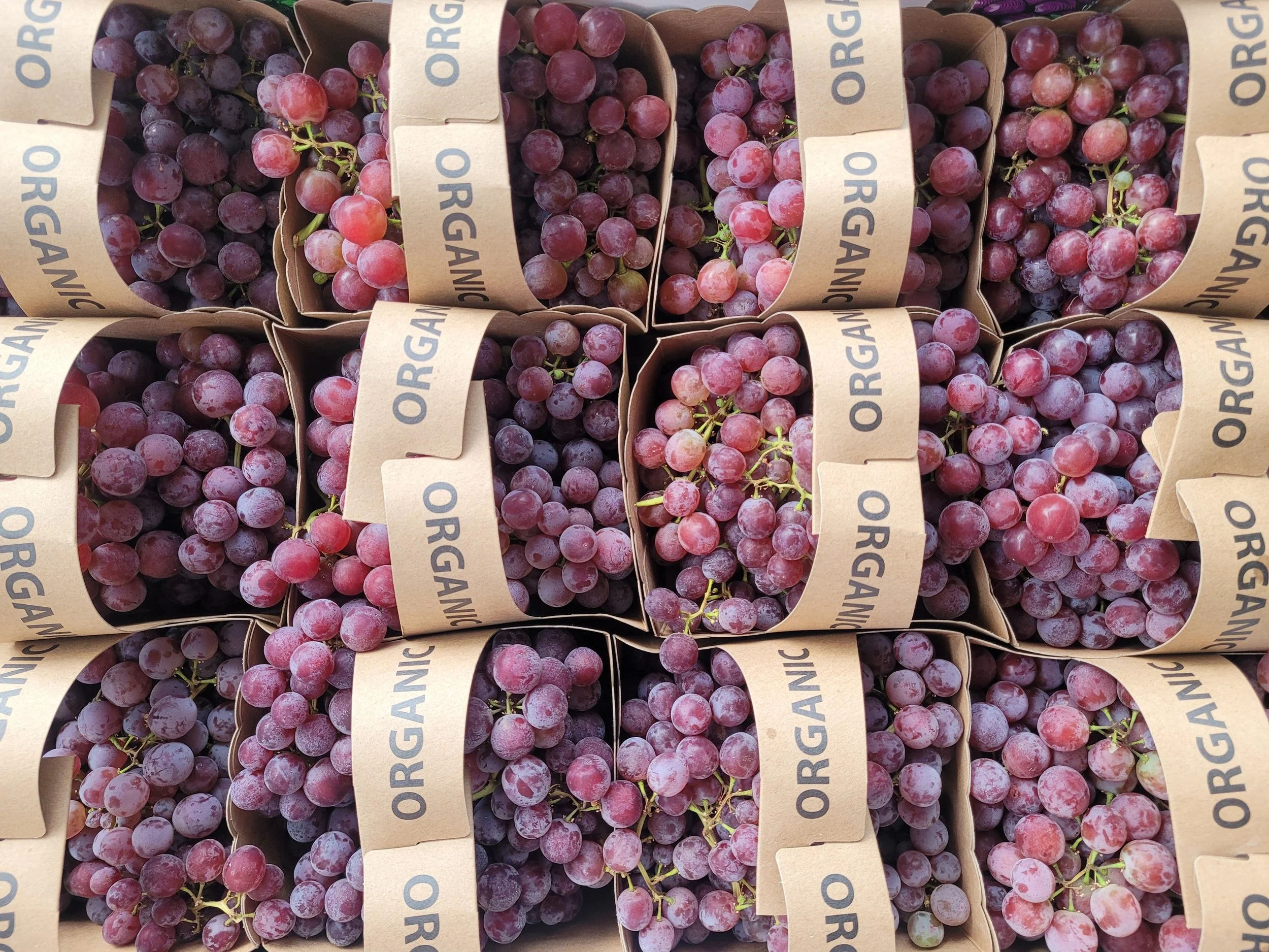 CALIFORNIA GRAPES ARE IN FULL SWING — Earl's Organic Produce